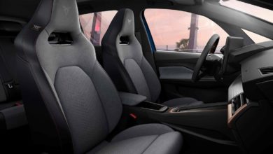 „Edition Dynamic“ des CUPRA Born ab sofort bestellbar – LokaleBlicke