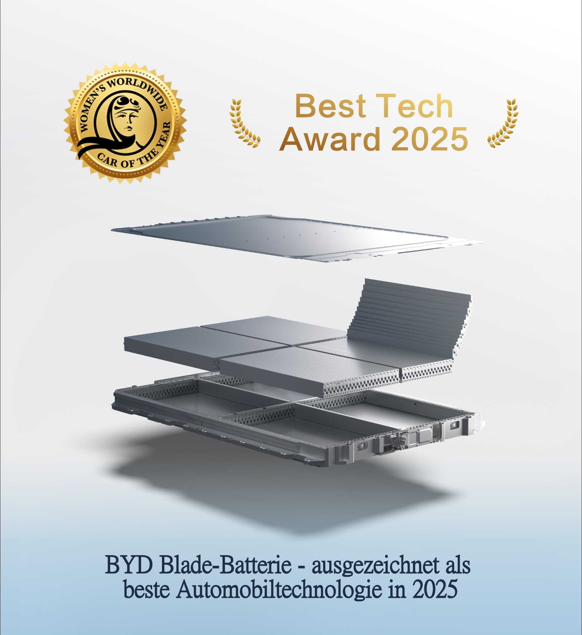 Revolutionäre BYD Blade-Batterie bei den Women’s Worldwide Car of the ...